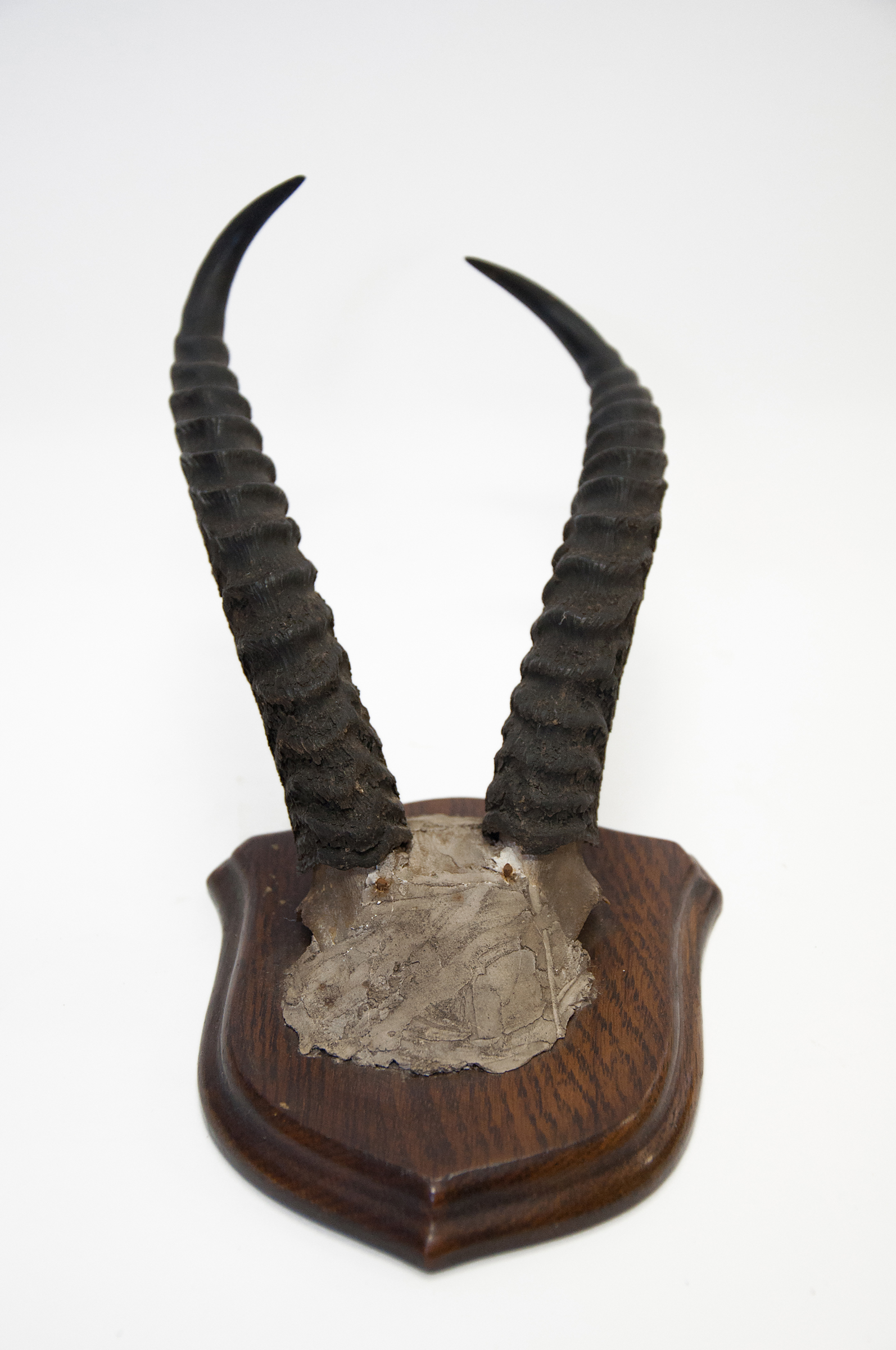 International Oil Drillers | “The Canadians are coming...”